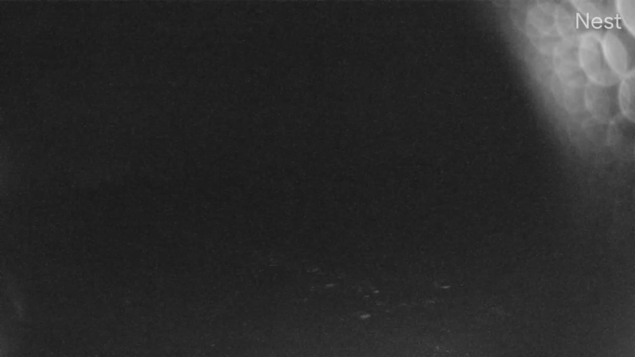 Hurricanetrack North Fort Myers Cam Ian (2022) - FLHurricane.com